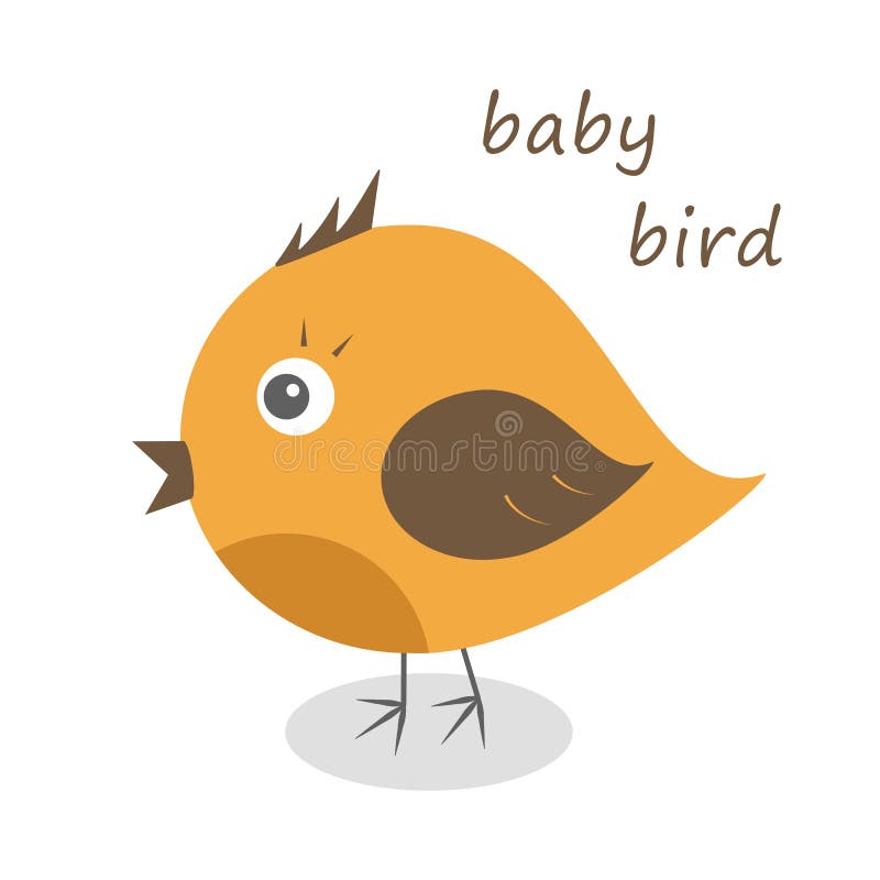 1 baby bird stock vector. Illustration of presentation - 220818229