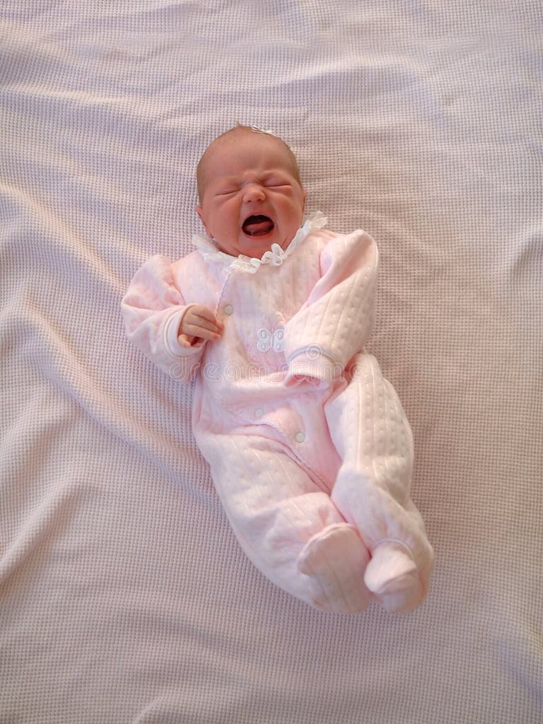 981 Baby Blacbear Pic Stock Photos - Free & Royalty-Free Stock Photos ...