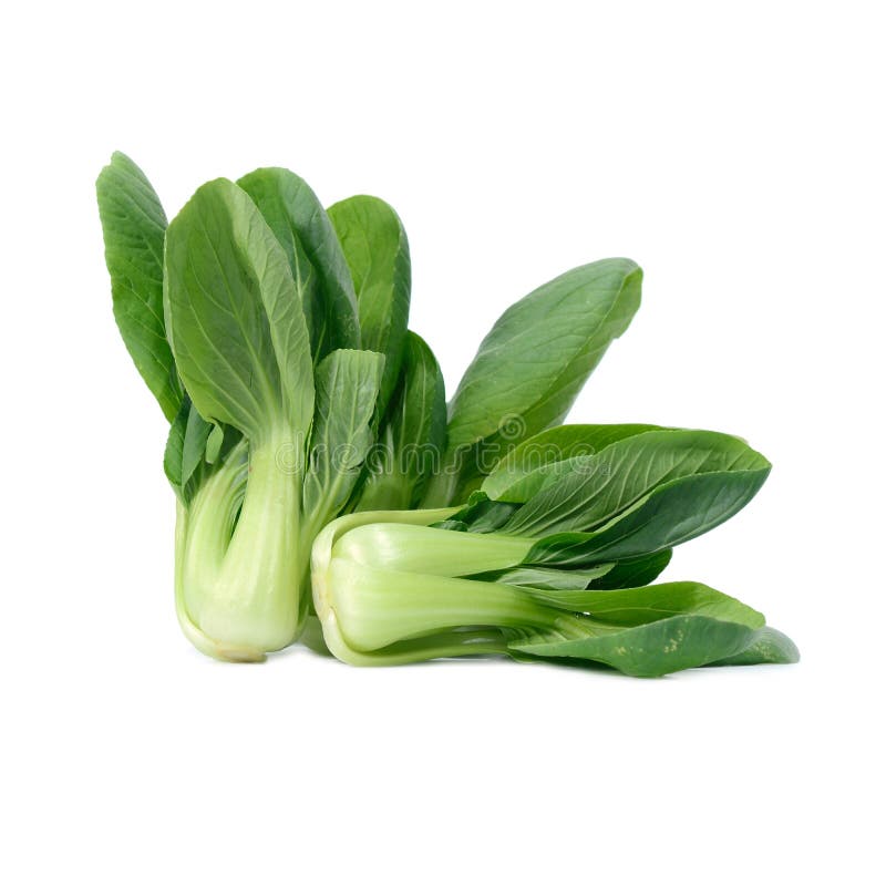 Baby Bok Choy or Pak Choi Chinese Cabbage Stock Photo - Image of choi ...