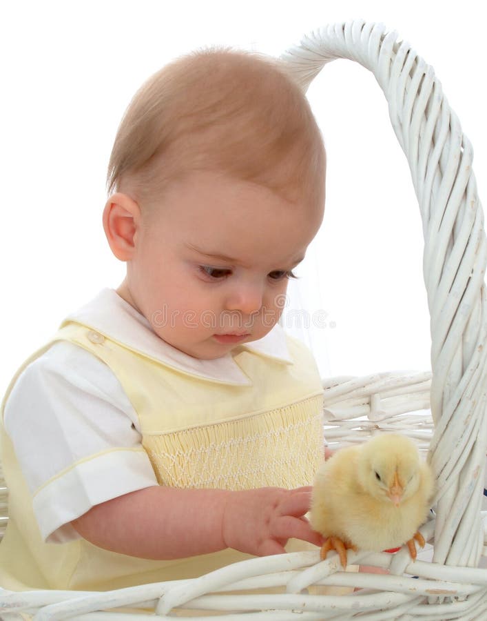 Baby Boy with Chicken stock image. Image of delightful - 4726029