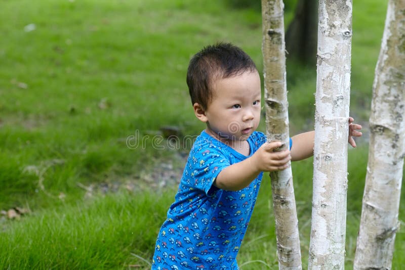 Baby boy climbing tree stock photo. Image of nice, love - 56876246