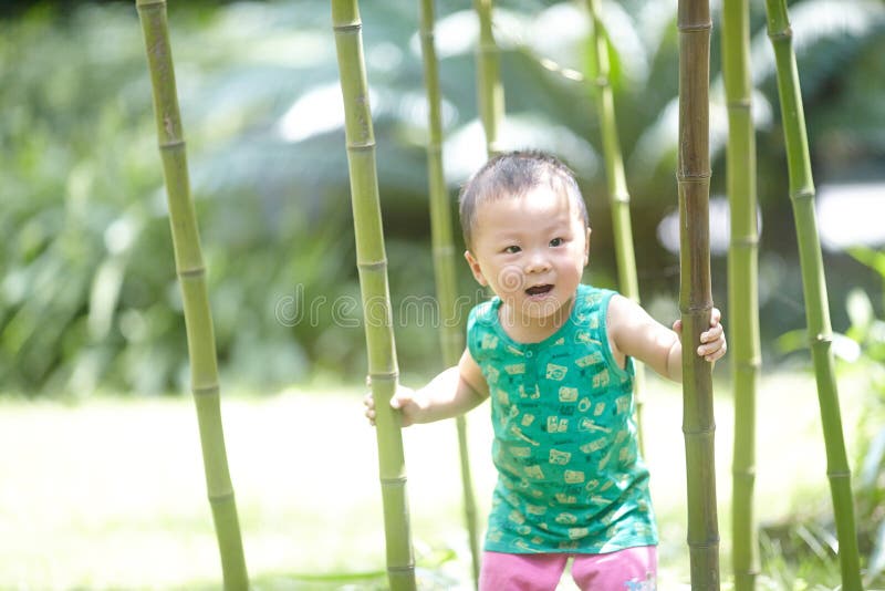 Baby boy climbing tree stock photo. Image of cute, season - 56881952