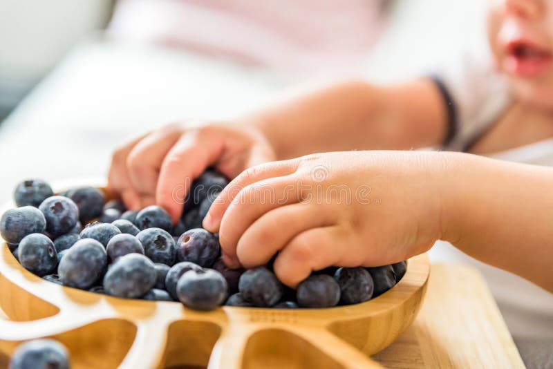 Baby Boy Hands Touch and Take Raw Fresh Blueberries Indoor. Baby ...