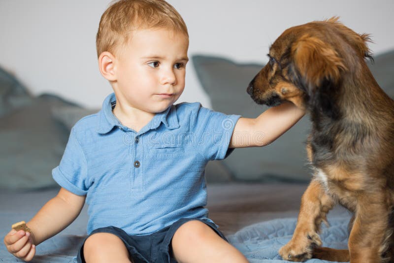 Baby boy and his pet. stock image. Image of young, person - 128758433