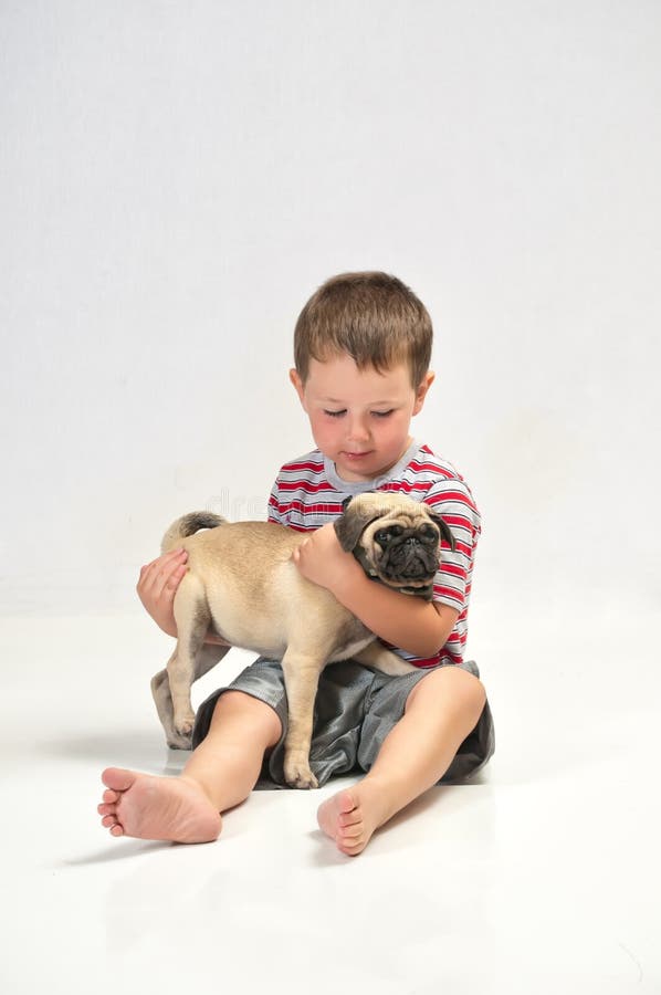 Baby boy holding a Pug stock photo. Image of cute, beautiful - 16763126