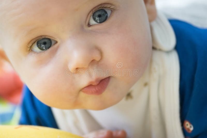 Baby Boy Looking Straight at You Stock Photo - Image of eyes, facial ...