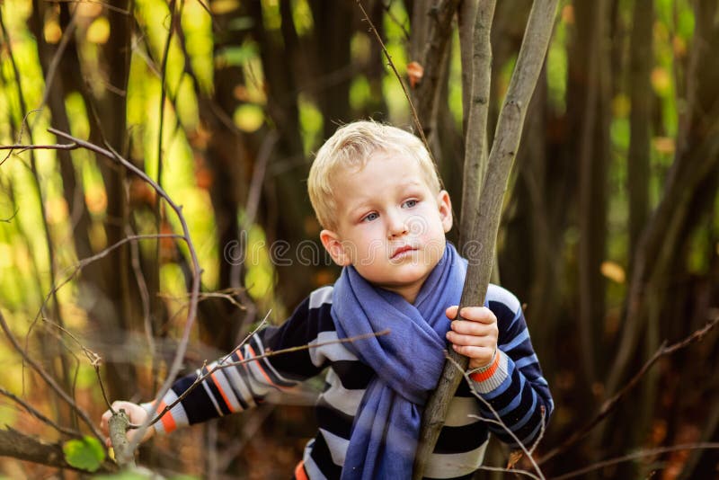Baby Boy Playing among Tree Branches Stock Image - Image of people ...
