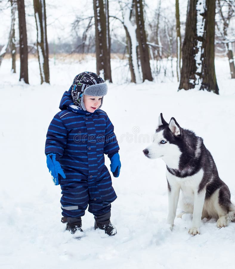 Baby Boy Plays with Husky Dogs. Stock Image - Image of leisure, child ...