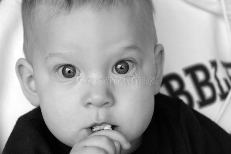 Baby Boy Portrait Infant Child Picture. Image: 4687253