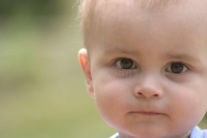 Baby boy right stock image. Image of babe, baby, solemn - 207513