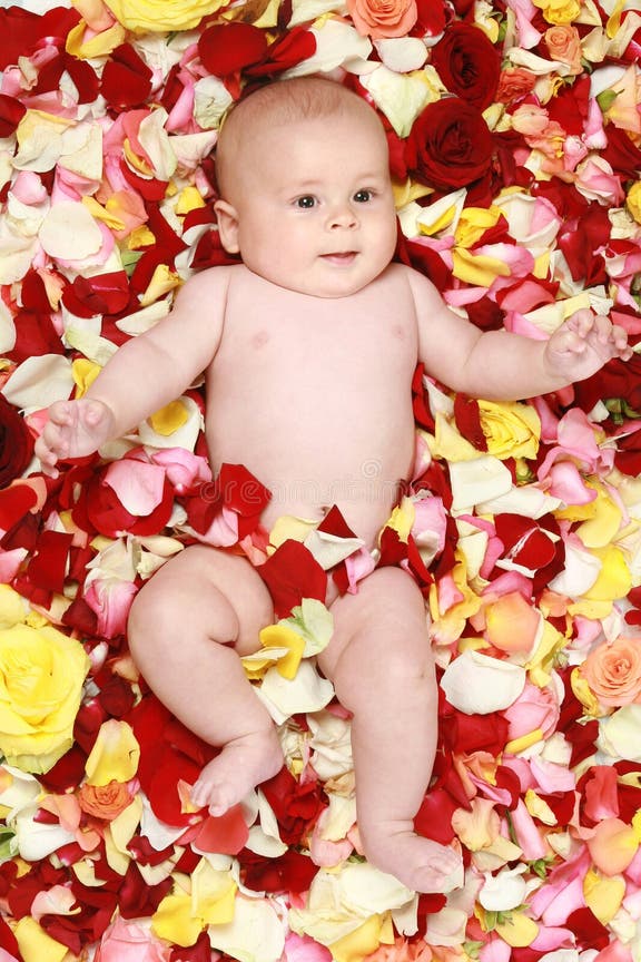 Baby boy in a rose plants stock image. Image of rose - 12477845