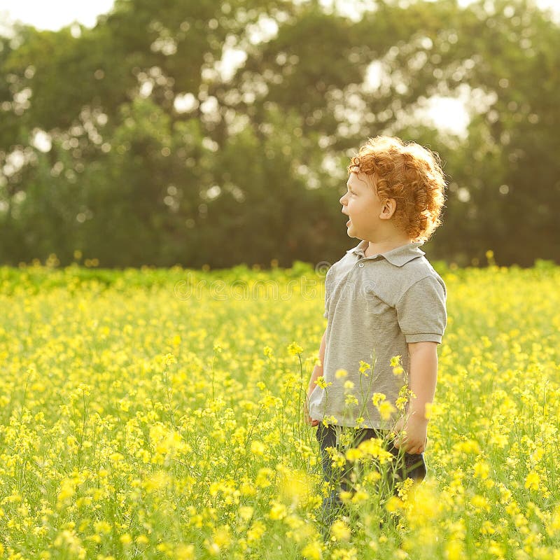 Baby Boy Standing in the Field Stock Photo - Image of cheerful, green ...
