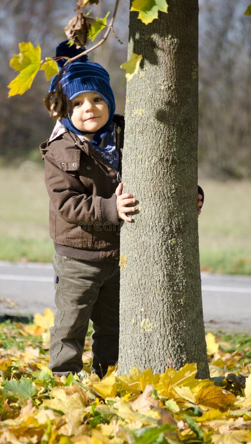 Baby boy and tree fall stock image. Image of leaves, hugg - 35539637