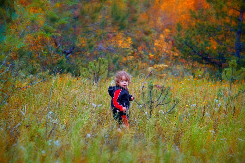 Little Boy in Woods stock photo. Image of families, child - 3042