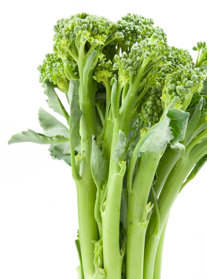 Broccolini Baby Broccoli Isolated Stock Photo - Image of health ...