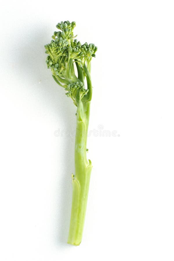 Baby broccoli stock photo. Image of snack, broccoli, healthy - 39414782