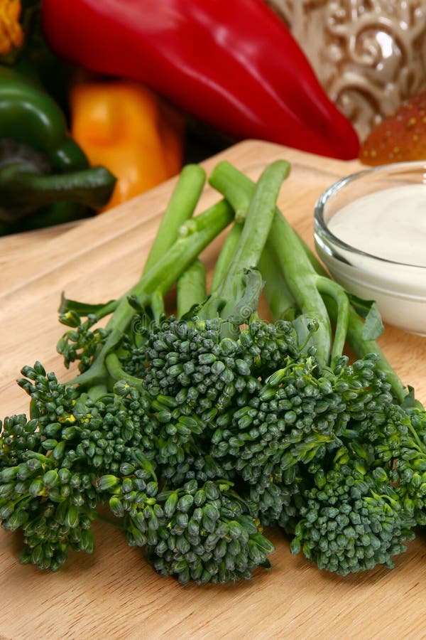 Baby Brocolli stock image. Image of garden, broccoli, cream - 5397663