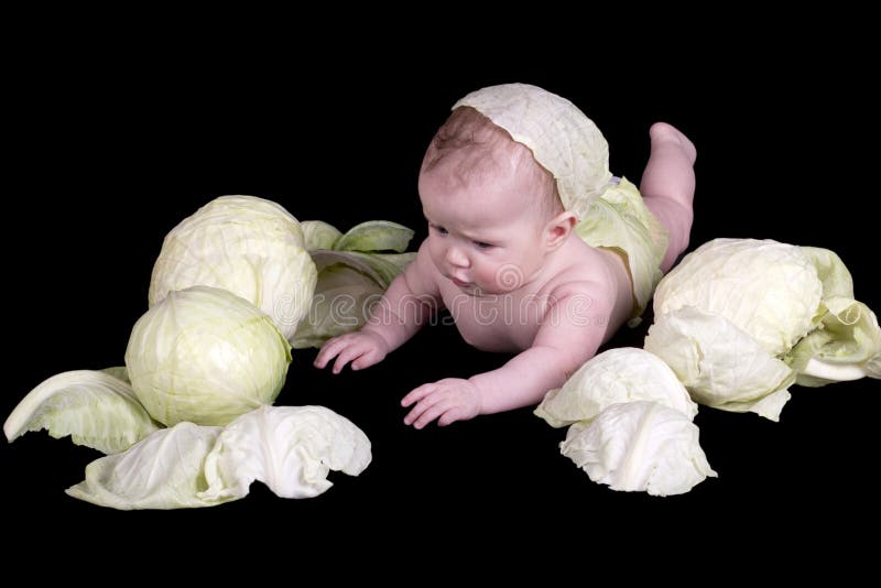 165 Cute Newborn Baby Cabbage Stock Photos - Free & Royalty-Free Stock ...