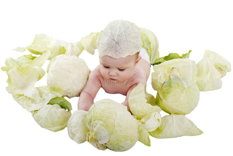165 Cute Newborn Baby Cabbage Stock Photos - Free & Royalty-Free Stock ...