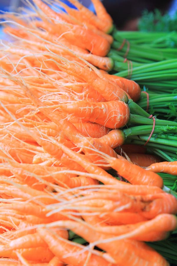 Baby carrot stock photo. Image of carrots, vegetable - 59501202