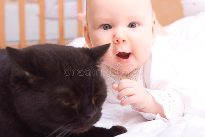 Baby and cat stock image. Image of white, beautiful, black - 4474253