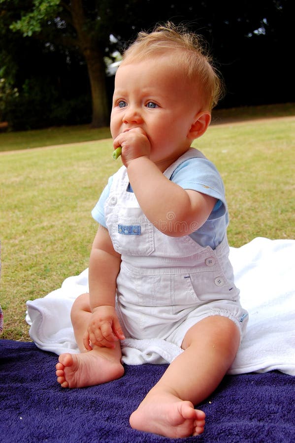 Baby chewing stock photo. Image of baby, summer, chewing - 23608786