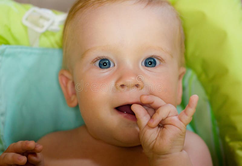Baby chews dollars stock photo. Image of growing, comfort - 43063008