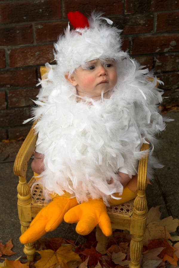 Baby Chick stock photo. Image of halloween, eggs, costume - 1930616