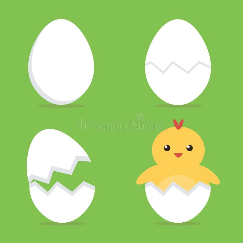 Baby Chick Hatching from the Egg Process. Flat Design Vector ...