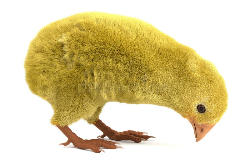 3d render of chicken stock illustration. Illustration of chicken - 39835525