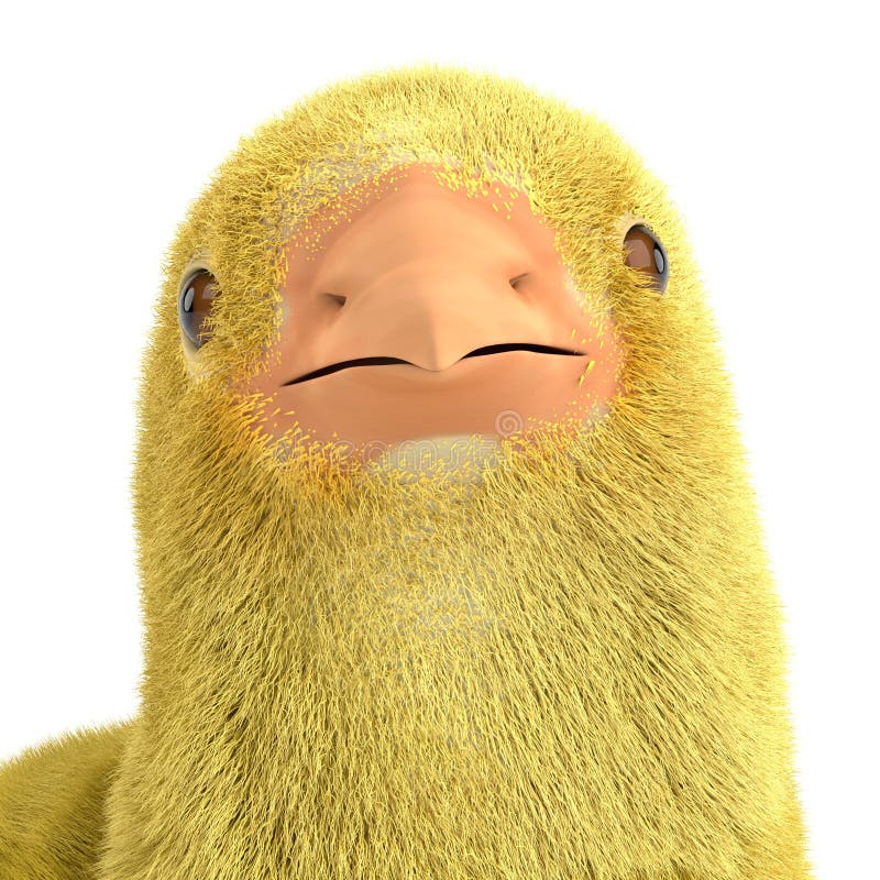 3d render of chicken stock illustration. Illustration of chicken - 39835525