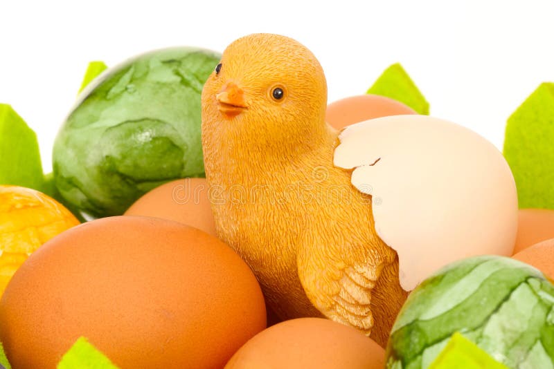 Baby chicken in Egg Basket stock image. Image of hide - 35808863