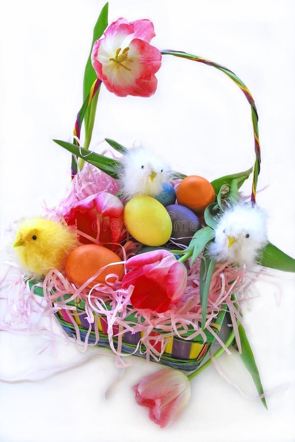 Baby chicks stock photo. Image of animal, jammed, crammed - 32933104