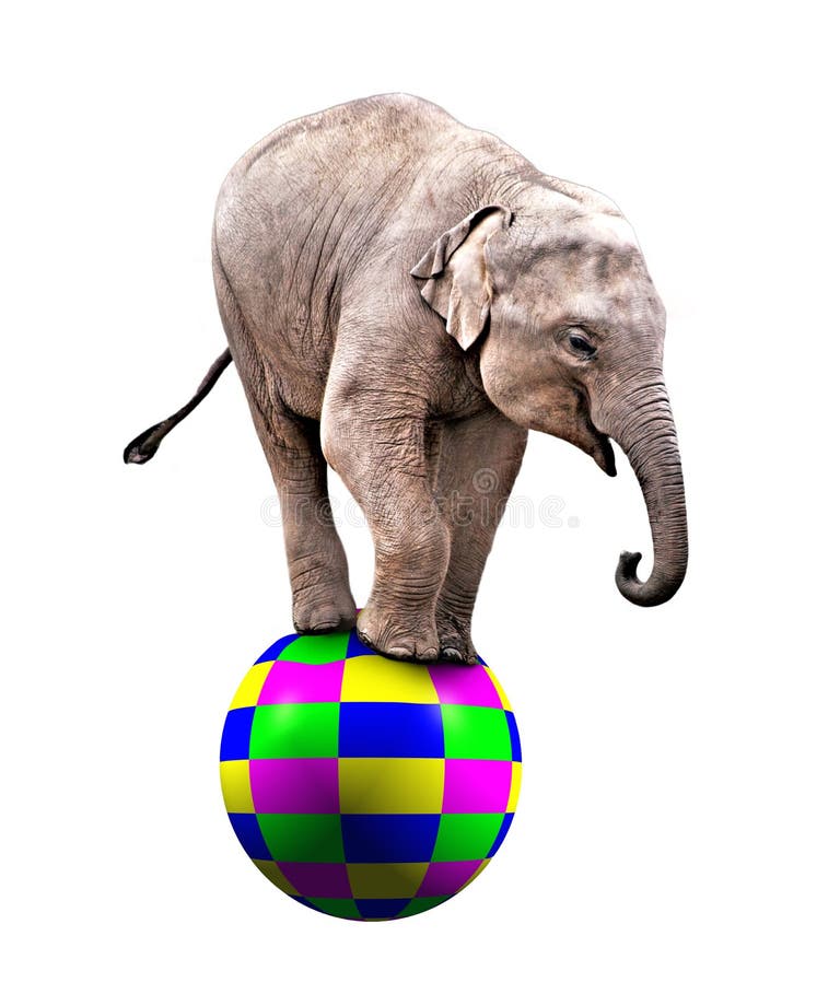 163 Elephant Balance Ball Stock Photos - Free & Royalty-Free Stock ...
