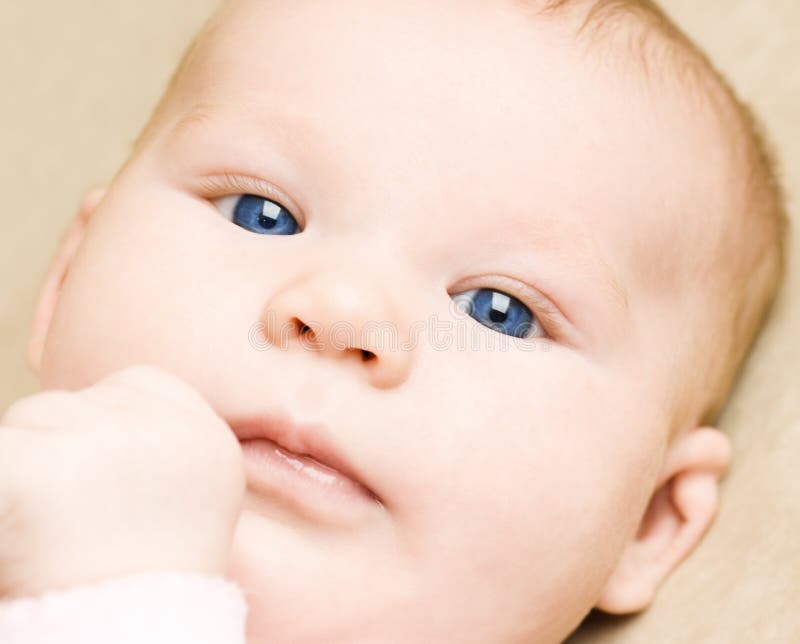 Cute baby stare stock photo. Image of stares, open, eyed - 15531032