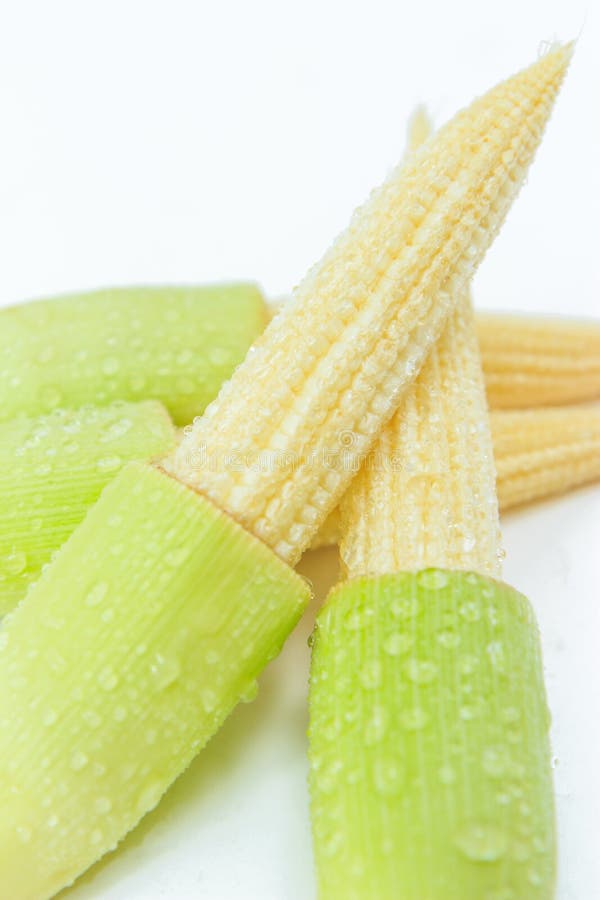 Baby Corn stock image. Image of healthy, corn, cooking - 15328275