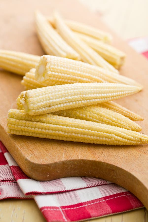 Baby corn cobs stock photo. Image of color, ingredient - 22375938