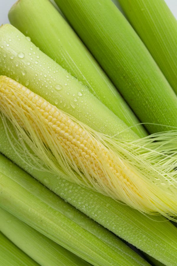 326 Baby Corn Husk Stock Photos - Free & Royalty-Free Stock Photos from ...
