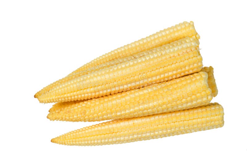 Baby corn stock photo. Image of corn, bowl, view, kernels - 60631688