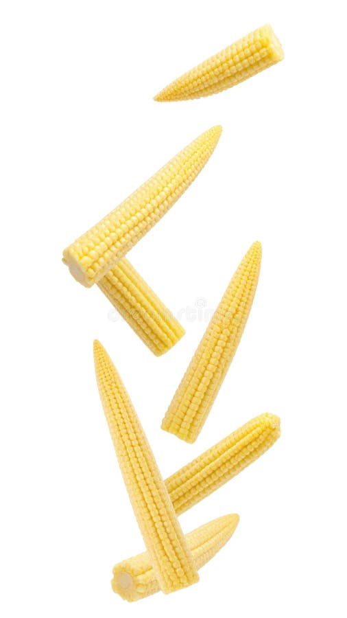 Baby Corn Kernels Falling Dynamically, Showcasing Crisp Golden Produce ...