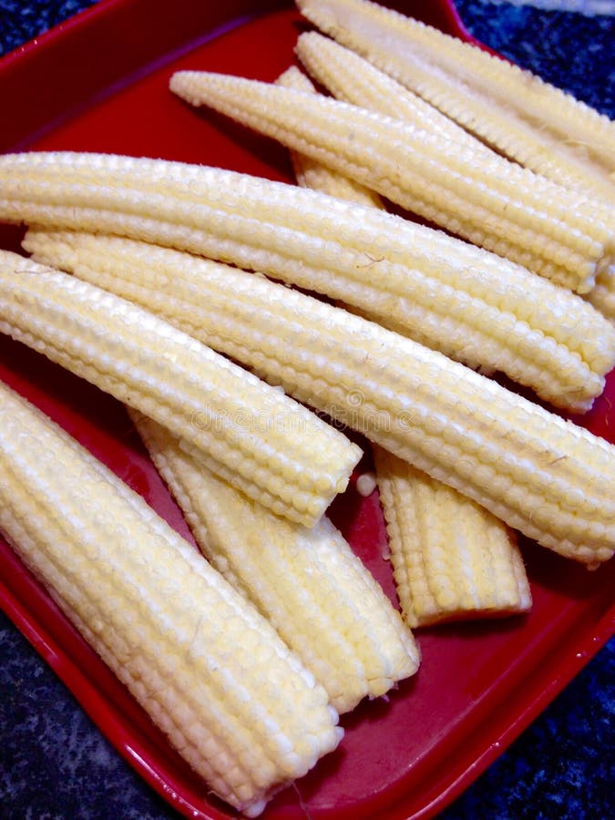 Baby corn or young corn stock photo. Image of corn, cook - 45132728