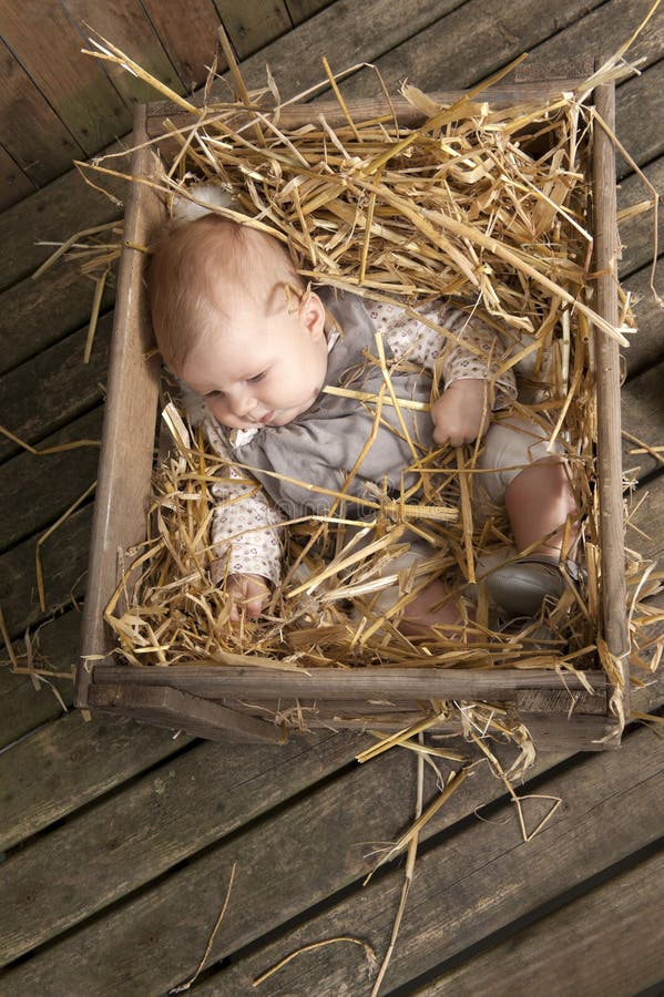 Baby in crate with straw stock photo. Image of barn, months - 27037080