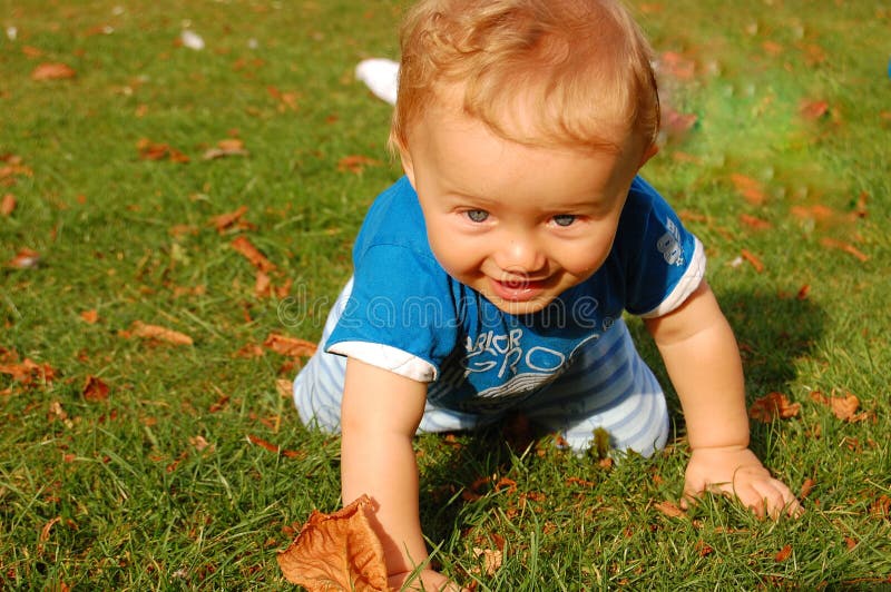 Baby crawling stock photo. Image of baby, wildlife, smile - 23809684