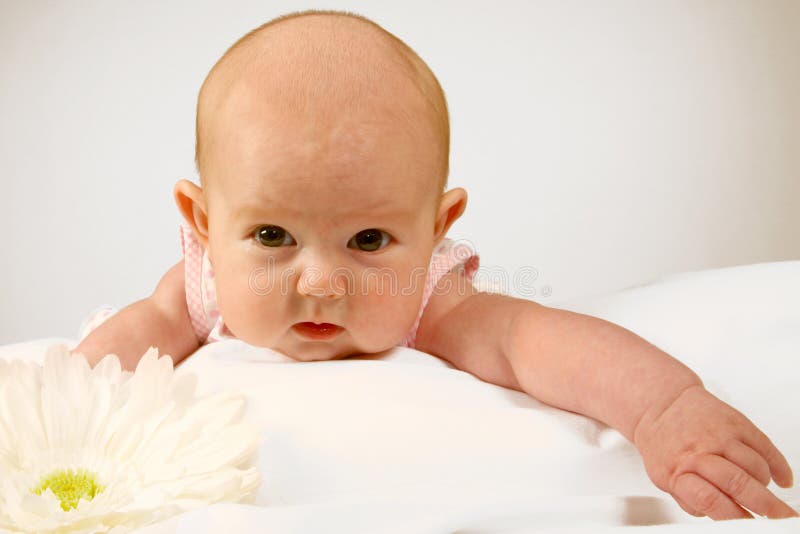 Baby Daisy stock photo. Image of lying, mouth, motherhood - 1392098