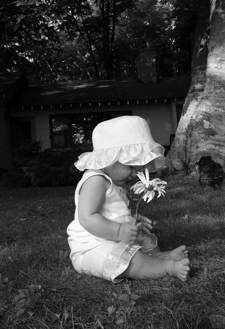 7,759 Baby Daisy Peeing Stock Photos - Free & Royalty-Free Stock Photos ...