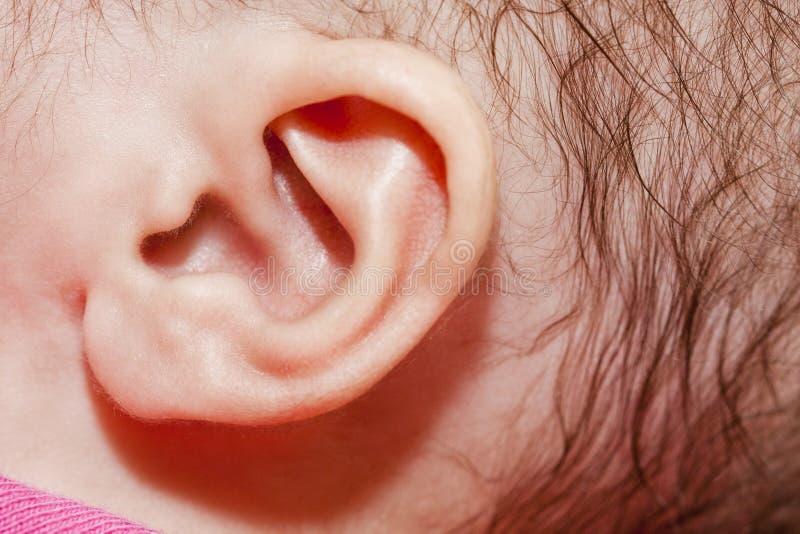 Baby ear stock image. Image of newborn, head, pink, love - 16201919