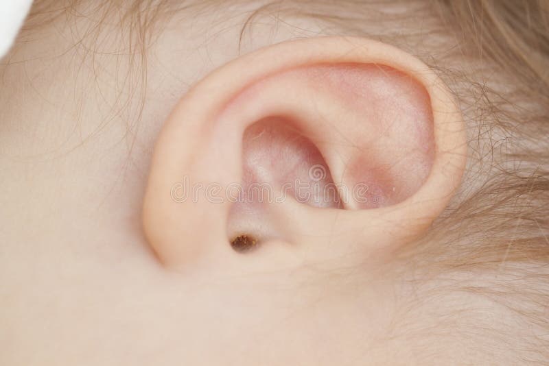 Baby ear stock image. Image of cute, clean, care, health - 23330939