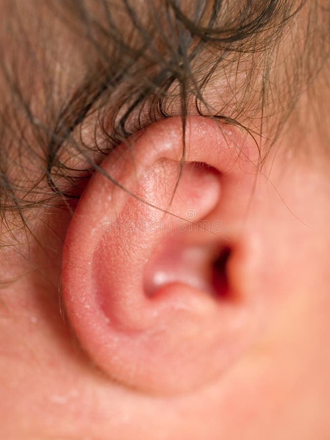 20,034 Human Ear Stock Photos - Free & Royalty-Free Stock Photos from ...