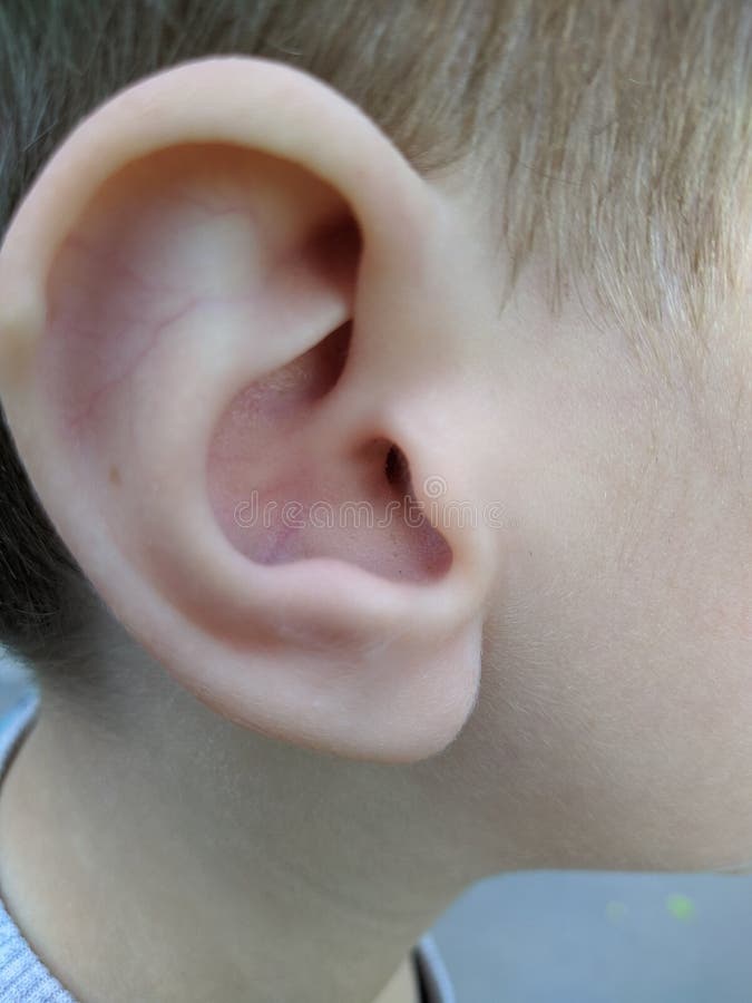 Baby Ear Side View Close Up. Stock Photo - Image of baby, infant: 300758594