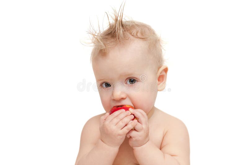 Baby eating apple stock photo. Image of face, pretty - 26412742